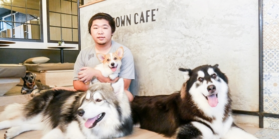 Review : คาเฟ่น้องหมา "Dog In Town" เที่ยวบ้านหมาน่ารักกลางซอยเอกมัย ...